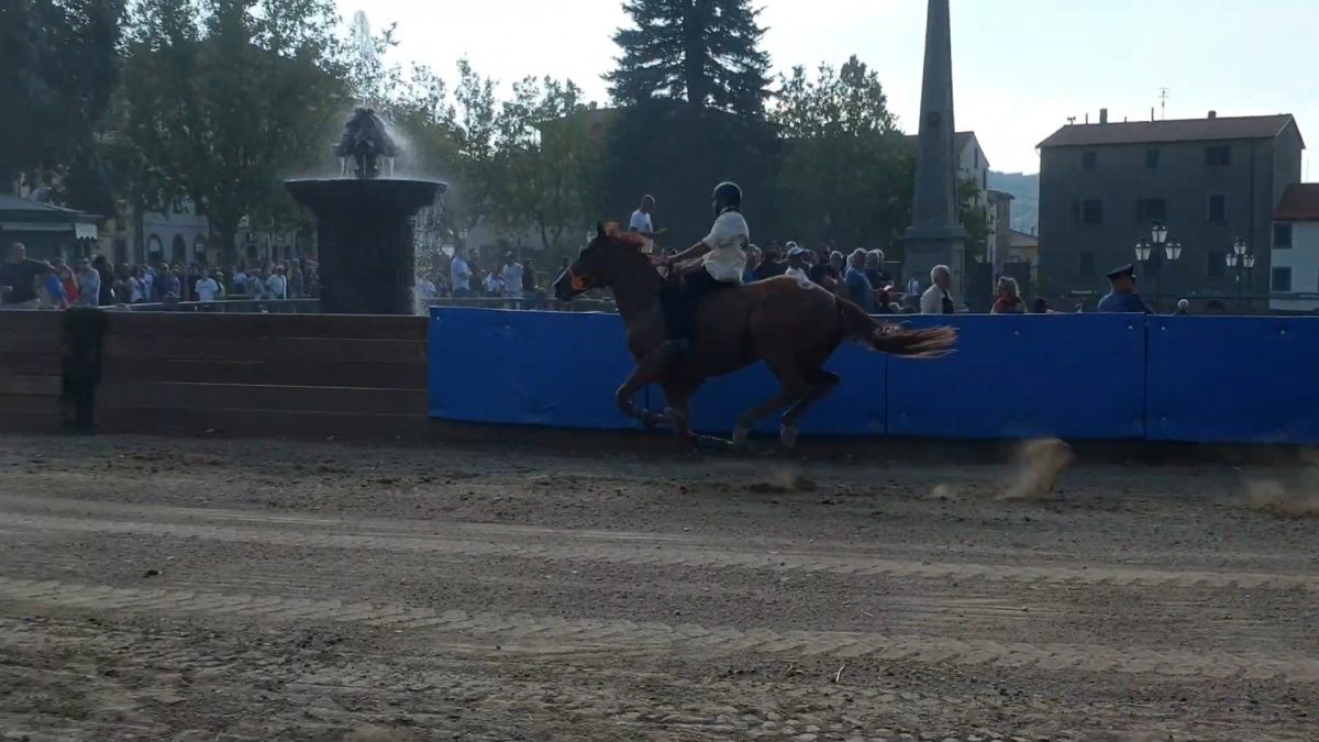 Palio di Asti e Castel del Piano: cavalli, fantini e tanti senesi ...