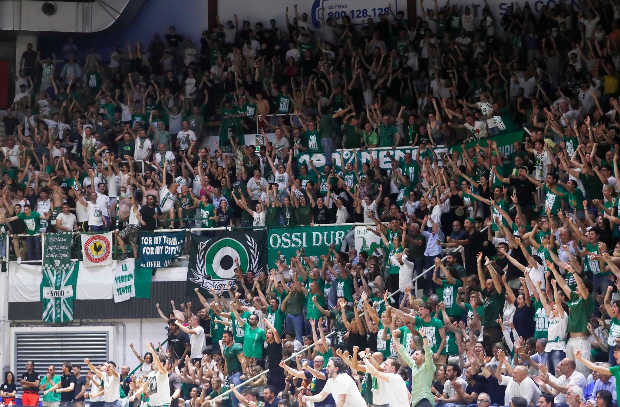 Verso gara 3 a Lucca, Io tifo Mens Sana scrive al sindaco: "Clima ...